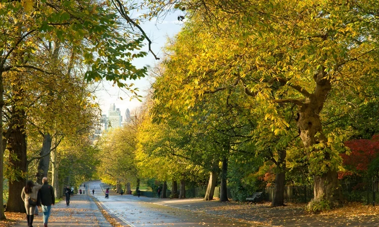 The Royal Parks | London’s Royal Parks
