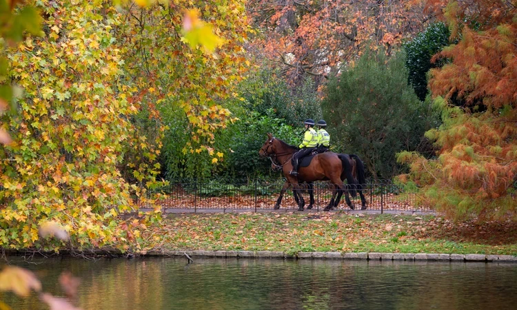 Visit | The Royal Parks