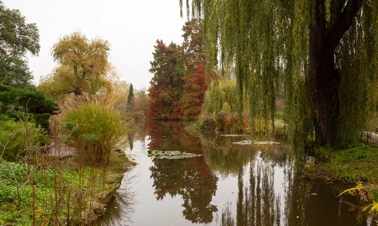The Regent's Park & Primrose Hill | The Royal Parks