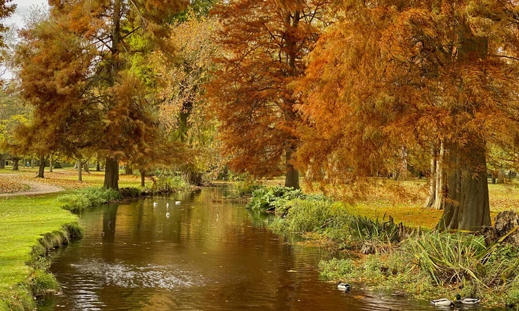 The Royal Parks | London’s Royal Parks