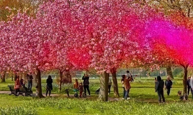 The Royal Parks | London’s Royal Parks