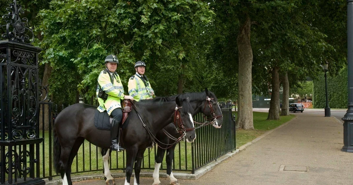 Policing & safety | The Royal Parks