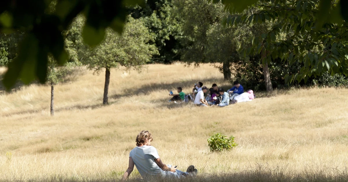 The Barrow Cemetery: Discover more! | The Royal Parks
