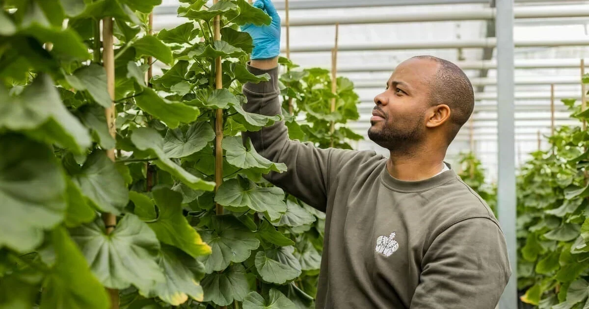 Careers | The Royal Parks