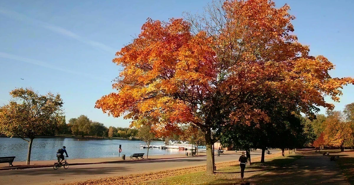 Hyde Park | The Royal Parks
