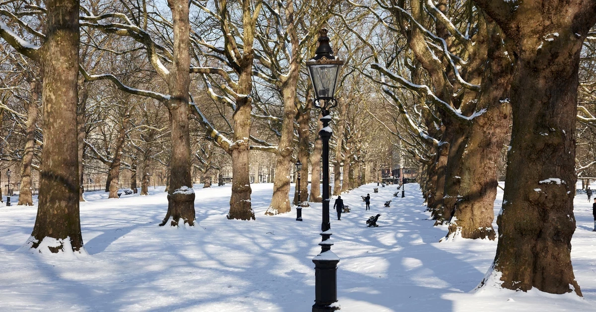 The Green Park | The Royal Parks