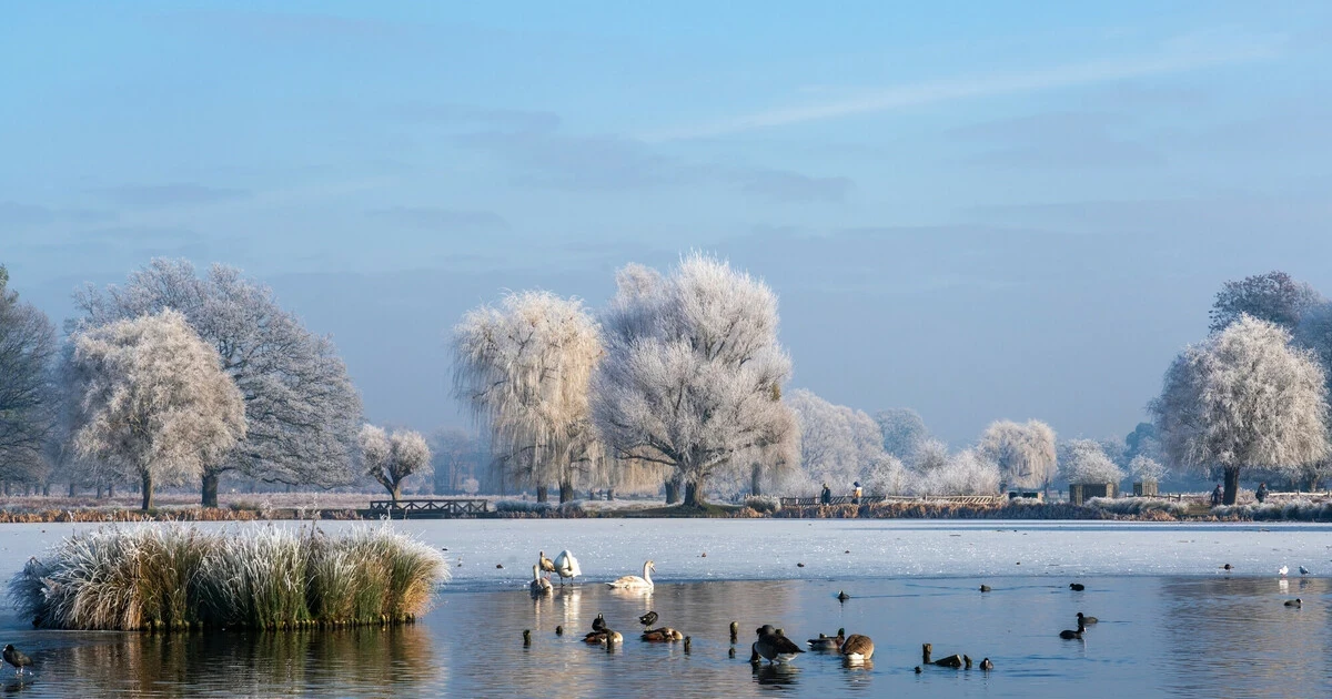 FAQs for Bushy Park | The Royal Parks
