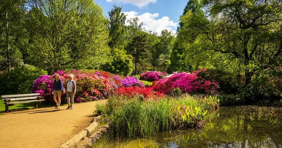 The best nature walks in London | The Royal Parks