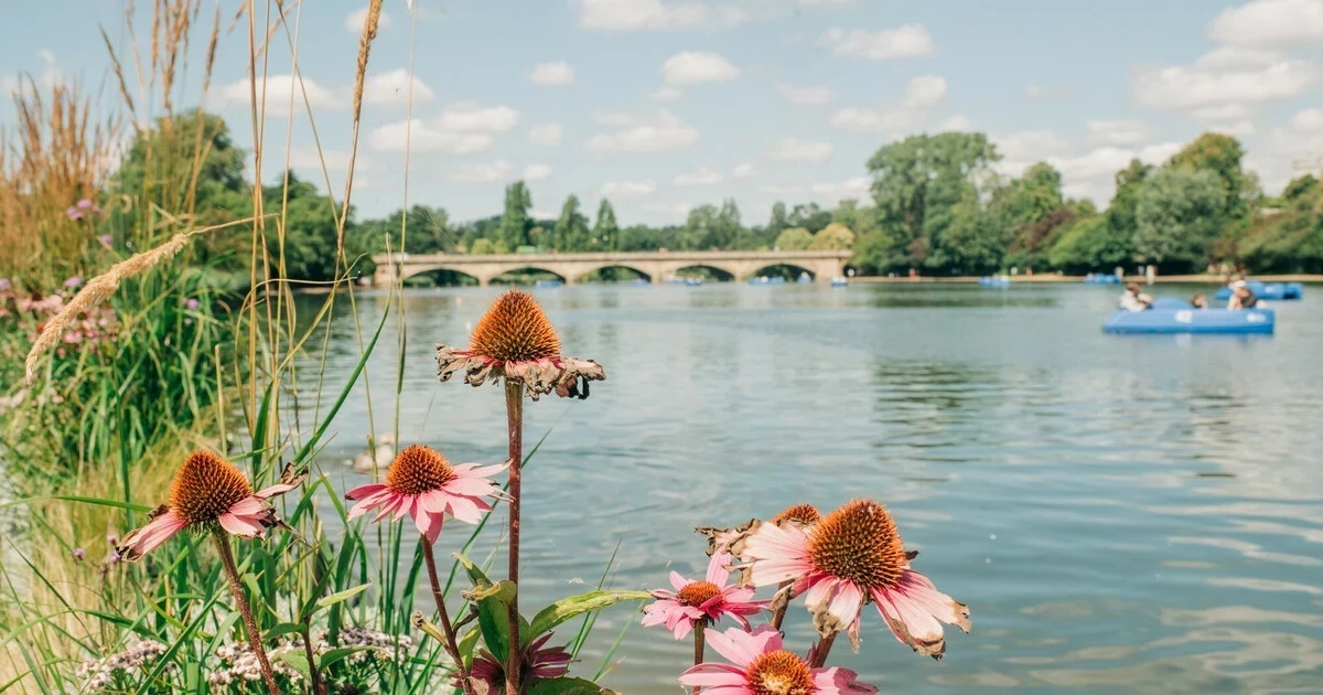 Things to see & do | The Royal Parks