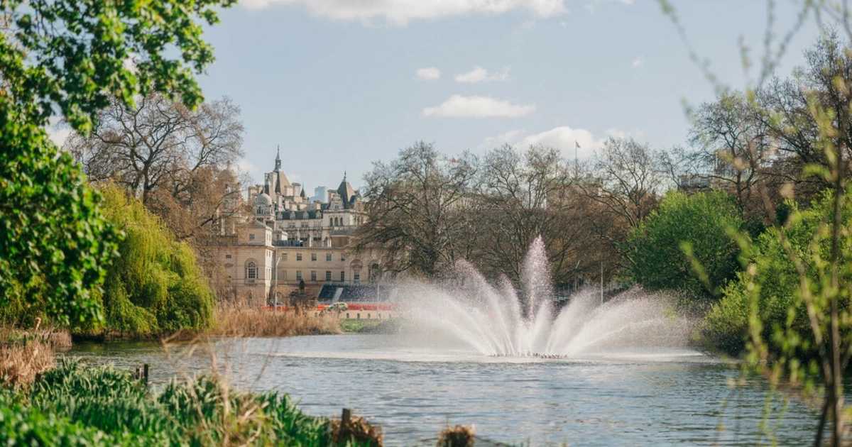 Read, watch & listen | The Royal Parks