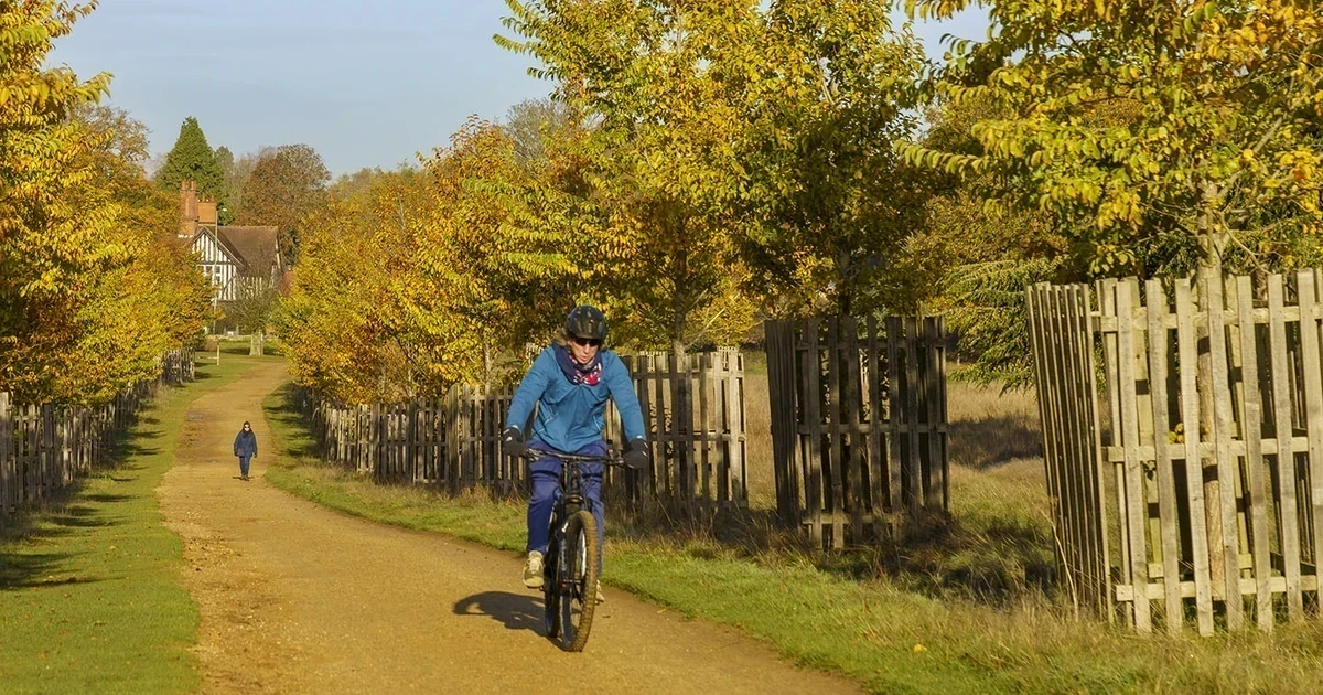 Things to Do in Richmond Park | The Royal Parks